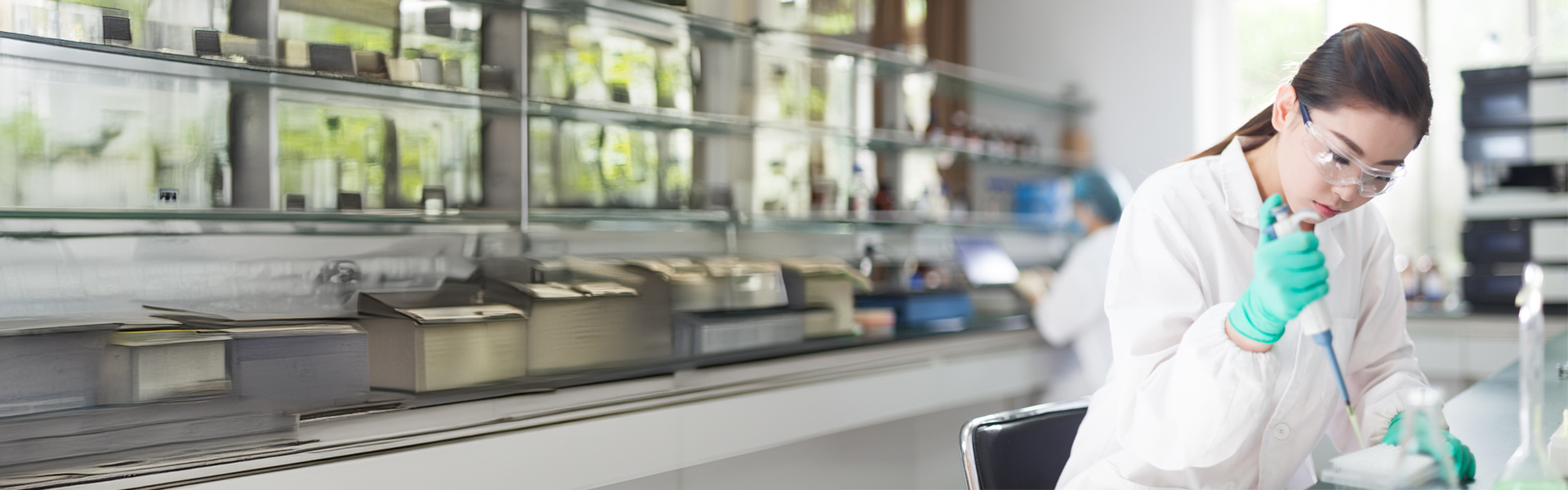 Visitor Guide: Tokyo, Japan