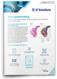 Visium Spatial Profiling