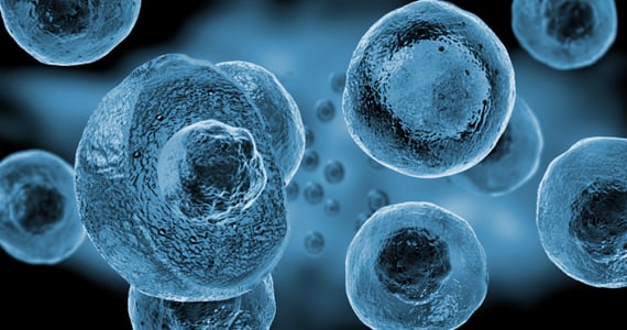 10x Single Cell Sequencing